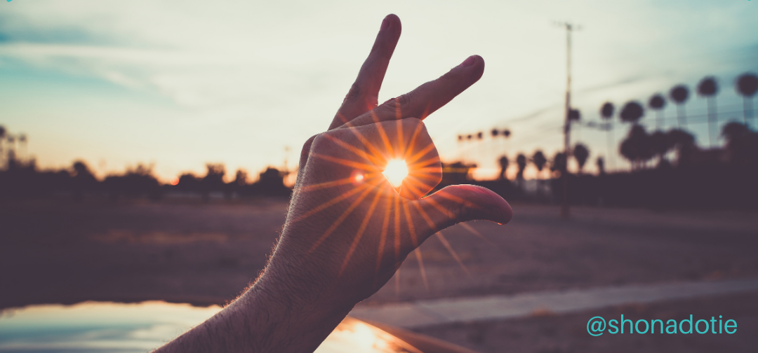 How to Flip Your Perspective… - The Shona Project